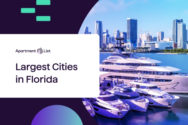 10 Largest Cities in Florida [2025]