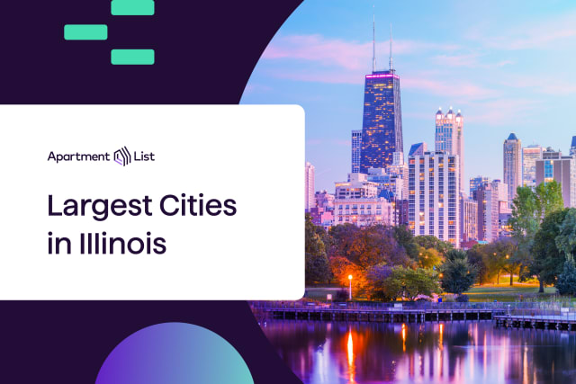 15 Largest Cities in Illinois [2025]