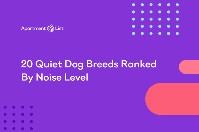 20 Quiet Dog Breeds Ranked By Noise Level