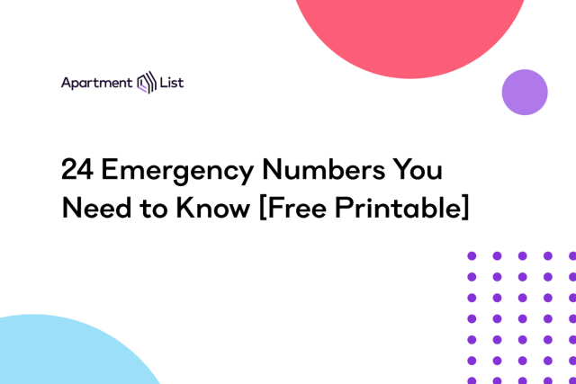24 Emergency Numbers You Need to Know [Free Template]