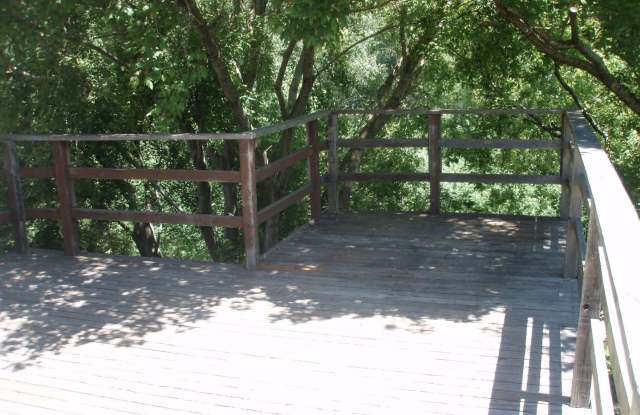 Beautiful river side! Decks with views! - Santa Cruz, CA apartments for ...