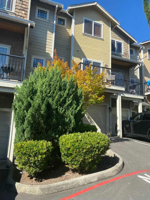Landing View Townhomes - Renton, WA apartments for rent